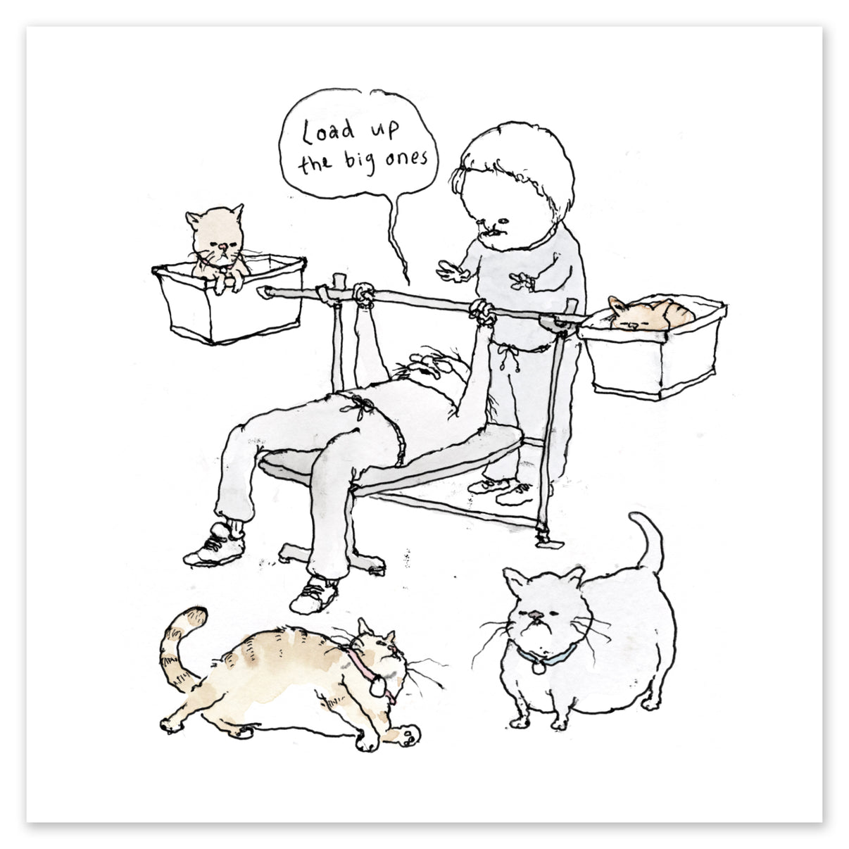 Cat Bench – The Art of Pants